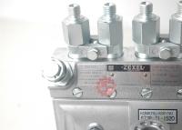 China 4063844 Cummins Fuel Pump Standard Size For Excavator 6BT5.9 Silver Color for sale