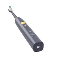 China H6 Plus Rechargeable  Toothbrush CE FCC ROHS FDA Certificate for sale