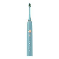 China H6 Plus Rechargeable  Toothbrush CE FCC ROHS FDA Certificate for sale