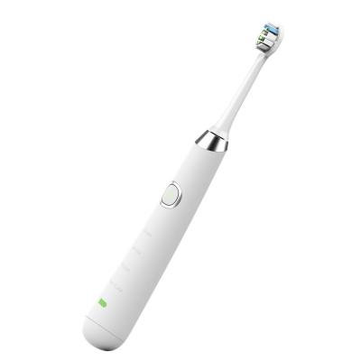 China Rechargeable Adult Smart Sonic Electric Toothbrush 38000 VPM 800mAh Lithium Battery for sale