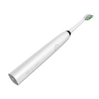 China 2000mAh Water Flosser Toothbrush IPX7 Waterproof Rechargeable For Home for sale