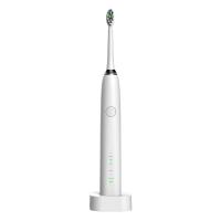 China 2000mAh Water Flosser Toothbrush IPX7 Waterproof Rechargeable For Home for sale