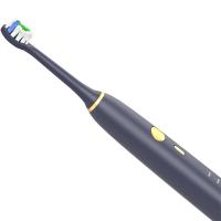 China Hanasco H6 Plus Adult Sonic Electric Toothbrush IPX7 Waterproof 31000-50000rpm DuPont Soft Bristles for sale