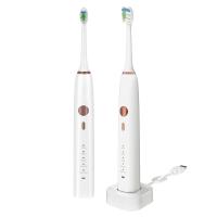 China Hanasco H6 Plus Adult Sonic Electric Toothbrush IPX7 Waterproof 31000-50000rpm DuPont Soft Bristles for sale