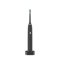 China Hanasco H6 Plus Adult Sonic Electric Toothbrush IPX7 Waterproof 31000-50000rpm DuPont Soft Bristles for sale