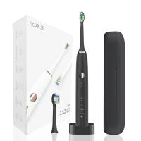 China Hanasco H6 Plus Adult Sonic Electric Toothbrush IPX7 Waterproof 31000-50000rpm DuPont Soft Bristles for sale