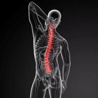 China Minimally Invasive Plasma Spine Probe In Intervertebral Foramen Endoscope Operation for sale