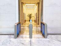 China Smart Swing Speed Gate Turnstile for Entrance Security for sale