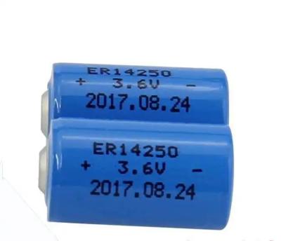 China Upgrade Your Delta Plc Servo Code with Lithium Battery 3.6v 1/2aa Absolute Value Probe for sale