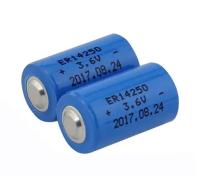 China Er14250M 3.6ver-14250 Na Ic Chip for Servo Motor C Lithium Battery in High Demand for sale