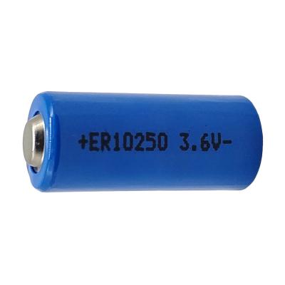 China Long Lasting 2/3AAA ER10250 3.6V 0.45Ah Non-rechargeable Primary Cell Smoke Alarms Battery for sale