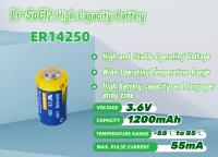 China Annual Self-discharge 1% ER14250 Non-rechargeable Primary Cell for Precision Equipment for sale
