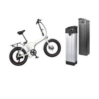 China Electric Bicycle Booster Battery 48V Lithium Battery Pack for Green Travel Point for sale