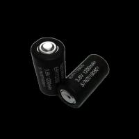 China ER34615S High Temperature Lithium Battery for Oil Drilling and Downhole Monitors for sale