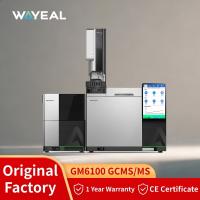 China 10.1-inch HD Touchscreen Gas Chromatograph GCMS Single Quadrupole Mass Spectrometer for sale