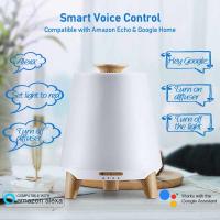China 300ML Portable Smart APP Wifi Control Aroma Diffuser for sale