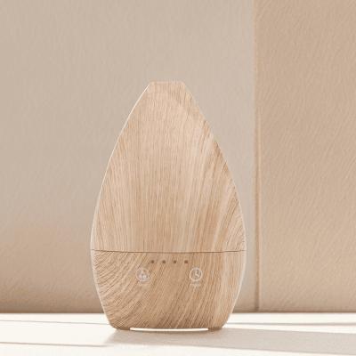 China 200ml Spray Mist Air Humidifier Portable Diffuser Humidifier for sale