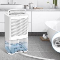 China Removable Water Tank Portable Domestic Dehumidifier for sale