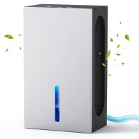 China 2.4 L Household High Efficiency Dry Dehumidifier▕ DN-610 for sale