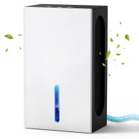 China 2.4 L Intelligent Portable Dehumidifier With Drain Hose▕ DN-610 for sale