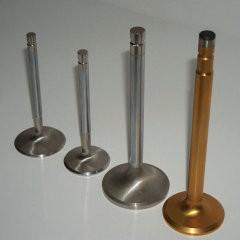 China Mitsubishi 8DC2 6DC2 Diesel Engine Valve For Excavator With 175mm 8 Cyl for sale
