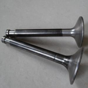 China WD615 Diesel Engine Valve  612600050073 61560050041 High Temperature Resistant for sale