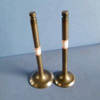 China High Performance Diesel Engine Valve And Retainers 3L 3L 5L 3SGTE / Car Spare Parts for sale