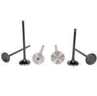 China Custom Autoparts N20 Engine Intake Valve And Exhaust Valve OEM 4007004Z-S for sale