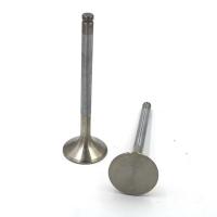 China WL / EX / E2500 / B2500 Diesel Engine Intake And Exhaul Valves OEM WL01-12-121 for sale