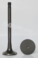 China Nissan Gasoline - Engined Subcompact Car MR20 Intake Valve 13202-EA200 / 13201-EN20A for sale