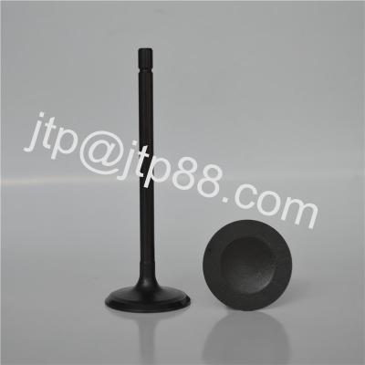 China High Performance Diesel Engine Valve For Nissan Car 13201-ED000 13202-ED000 for sale
