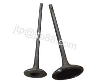 China Teikuko 479Q Engine Valve For Chery Car / Inlet And Exhaust Valves for sale