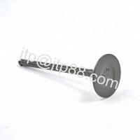 China Car EH100 Diesel Engine Valve For Cumins Engine Parts 13711-1200A 13715-1350A for sale
