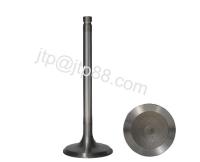 China Original Diesel Engine Valve / Cylinder Head Valves For HINO EH100 EF750 EK100 for sale