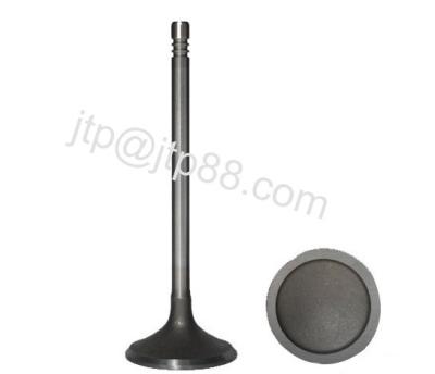 China Genuine Engine Cylinder Valve For EX100 HINO OEM 13711-1011A 13715-1011A for sale