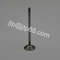 China Genuine Engine Cylinder Valve For EX100 HINO OEM 13711-1011A 13715-1011A for sale