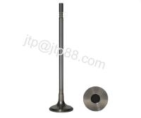 China Genuine Engine Cylinder Valve For EX100 HINO OEM 13711-1011A 13715-1011A for sale