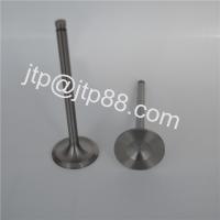 China Genuine Diesel Engine Valve ISUZU 6SA1 / 6SD1 Engine Cylinder Valve For Auto Spare Parts for sale