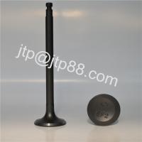 China Intake & exhaust Valve For Nissan PE6 Engine IN 13201-96002/EX 13202-96002 for sale