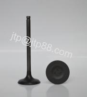 China Intake & exhaust Valve For Nissan PE6 Engine IN 13201-96002/EX 13202-96002 for sale