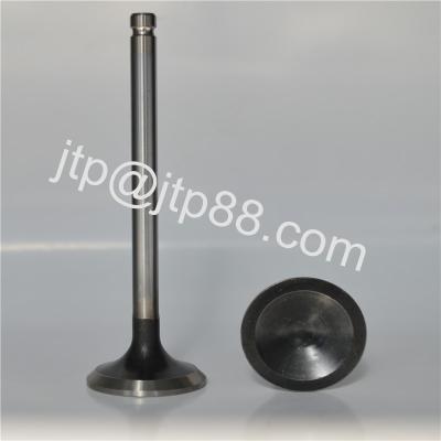 China Intake & exhaust Valve For Nissan PE6 Engine IN 13201-96002/EX 13202-96002 for sale