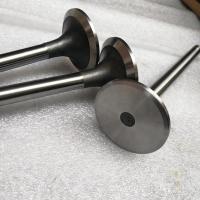 China Automobile Parts RD28 Intake & Exhaust Valve For Nissan 13201-40L01 13202-40L01 for sale