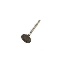 China Diesel Engine Parts GA14 16V Intake Exhaust Valve For Nissan 13201-73Y00 13202-57Y00 for sale