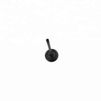 China Diesel Engine Parts GA14 16V Intake Exhaust Valve For Nissan 13201-73Y00 13202-57Y00 for sale