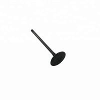 China Diesel Engine Parts GA14 16V Intake Exhaust Valve For Nissan 13201-73Y00 13202-57Y00 for sale