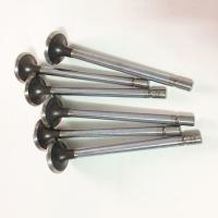 China Diesel Valve Train Engine Intake Valve And Exhaust Valve E13 E15 for sale