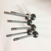 China Diesel Valve Train Engine Intake Valve And Exhaust Valve E13 E15 for sale