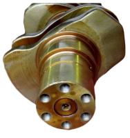 China Mitsubishi S4KT Diesel Engine Crankshaft 5I7844 For 312B 312C / Casting + Nitriding Engine Repair Parts for sale