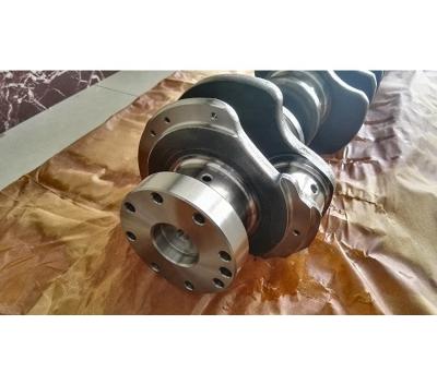 China Forging Steel Or Cast Iron 4D130 Diesel Engine Crankshaft 6110-33-1112 for sale