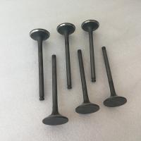 China Nissan Diesel Engine Parts SD20 SD22 SD30 Intake And Exhaust Valve for sale